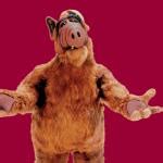 Alf Meme Generator Imgflip