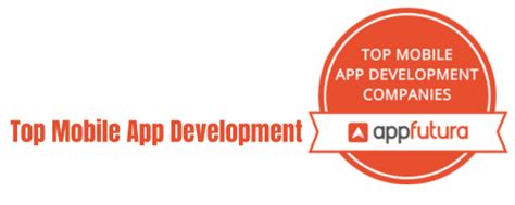 Offshore Software Development Company Codeiez