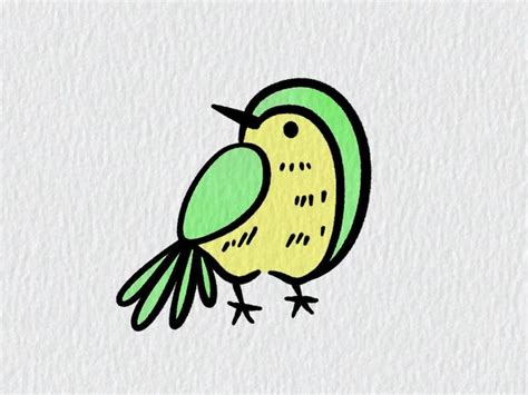 站在石头上的小鸟简笔画怎么画（汇总19张）简笔画图片大全