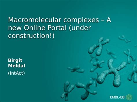 Pptx Macromolecular Complexes A New Online Portal Under Construction Dokumentips