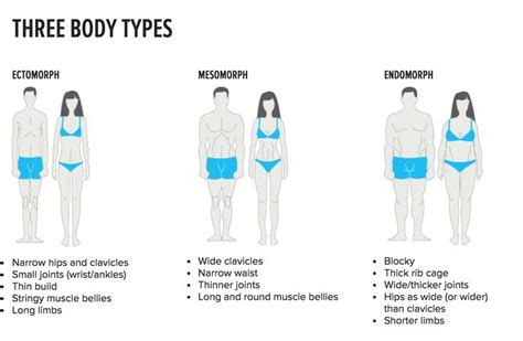 Pin By Brittany Blazey Truly Blazey On Fitness And Workouts Muscle