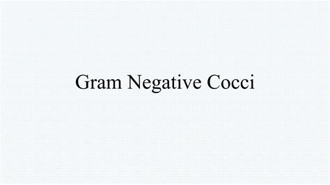 Gram Negative Cocci Pptx
