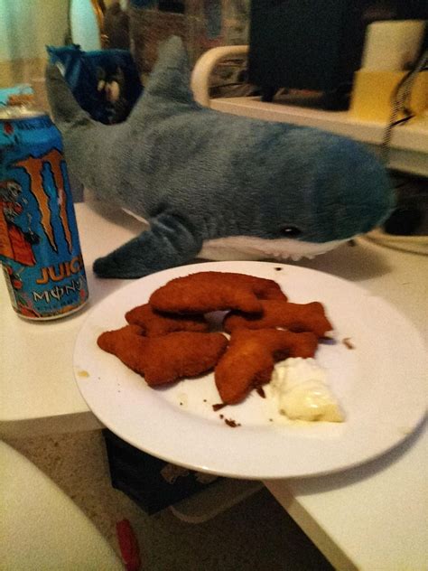 Dinner :3 : r/BLAHAJ