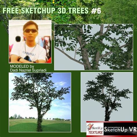 FREE SKETCHUP D MODEL TREE Model Tree Model D Model