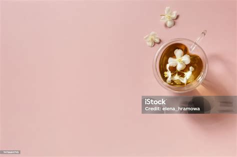 분홍색 파스텔 배경에 재스민 꽃과 재스민 차 한잔 유기농 천연 음료 개념 위에서 본 모습 공간을 복사합니다 0명에 대한 스톡 사진 및 기타 이미지 Istock