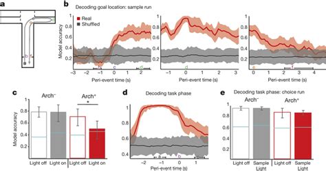 pfc units require vhpc input to encode location but not task phase a