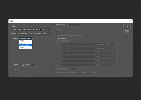 How To Batch Edit A Gallery In Photoshop Lsp Actions By Lemon Sky