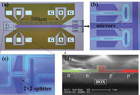 A Microscope Image Of The Mi Silicon Modulator With Two 500 μm Long Download Scientific