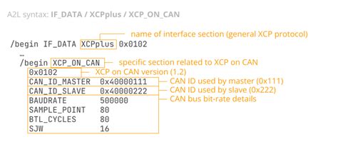 A2l File Explained Xcp On Can A Simple Intro [2025] Css Electronics
