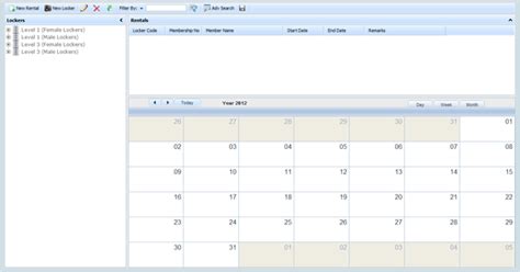 Display Only Year Tab Javascript Dhtmlx