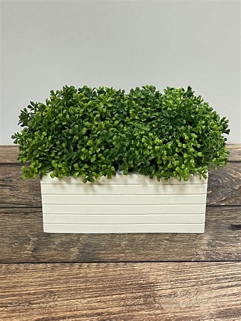 Купить Растение искусственное в кашпо из гипса вазе горшке цветы для декора и интерьера