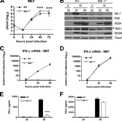 Pdf Interferon Regulatory Factor Irf 7 Induces The Antiviral Alpha