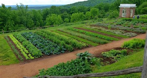 Календарь посадок на 2024 год для Сибири лунный посевной