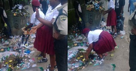 News Highlights For Dumping Refuse In An Authorized Place See What A