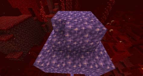 amethyst fungus from modded java r ibxtoycat