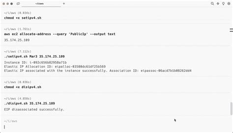 Assign Associate An Elastic IP Address To An EC Instance With A Bash Script Sysops