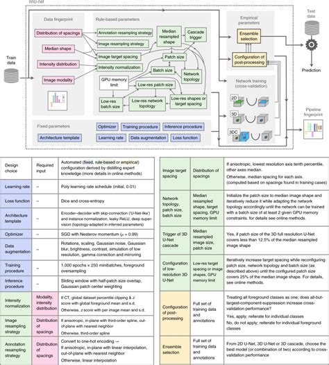 Nnu Net A Self Configuring Method For Deep Learning Based Biomedical