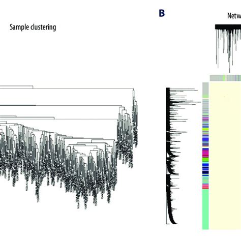 Sample Clustering And Network Heatmap Plot A Sample Clustering For Download Scientific