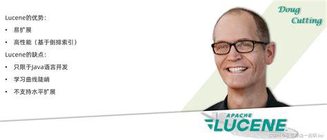 Elasticsearch的作用以及整合springboot 初学教程