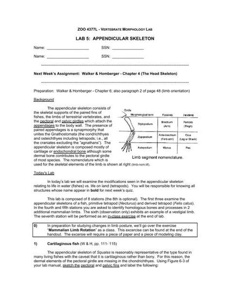LAB 5 APPENDICULAR SKELETON