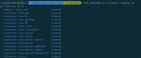 Continiously Restarting Cvatworkerexport Cvatworkerimport And Cvatworkerannotation
