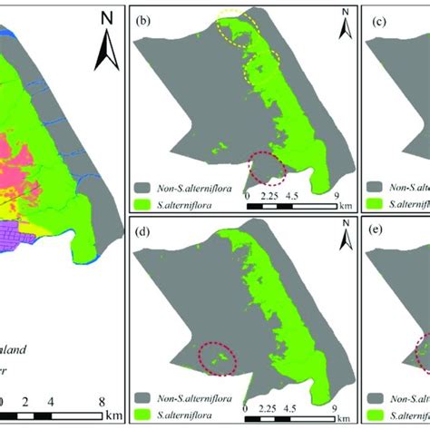 Pdf Mapping An Invasive Plant Spartina Alterniflora By Combining An Ensemble One Class