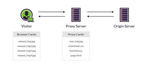 Browser Caching Vs Proxy Server Caching