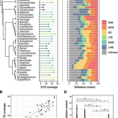 The Recent Expansion Of Transposable Elements Tes Shapes The Pearl