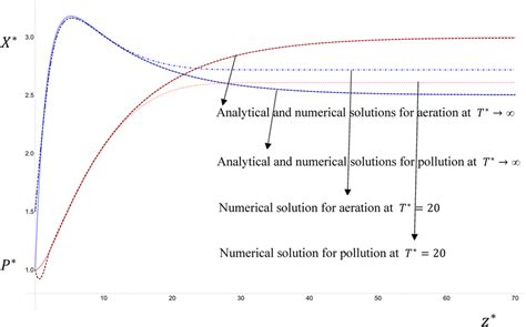 The Comparison Between The Steady State Analytical Solutions Given By Download Scientific