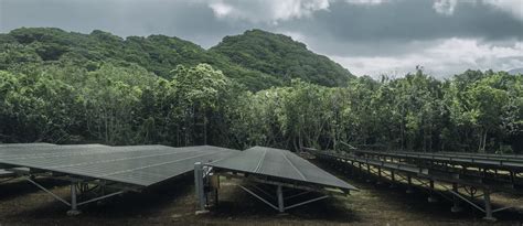 Tesla Has Over 120 Operational Microgrids Around The World Top Tech News