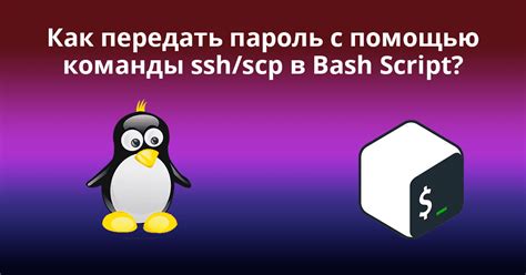 Как передать пароль с помощью команды ssh scp в Bash Script Блог Университета SEDICOMM