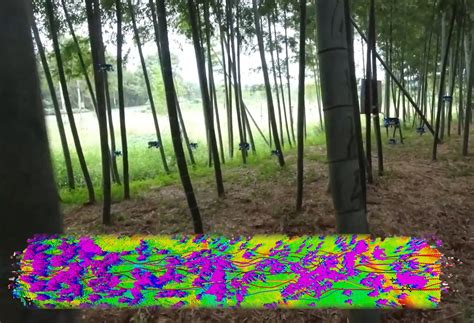 swarming drones autonomously navigate a dense forest and chase a human