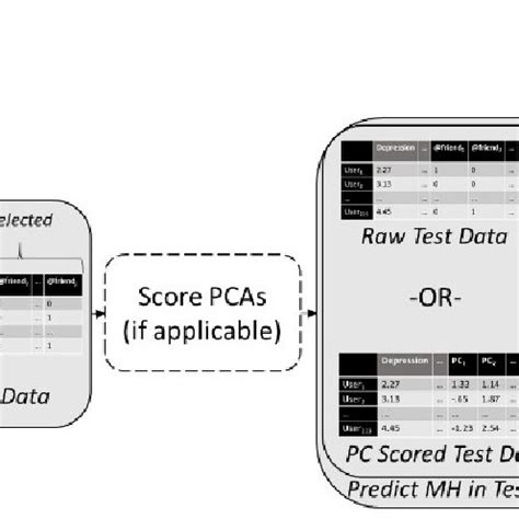 C Overview Of Model Testing Workflow C Overview Of Model Testing Download Scientific Diagram