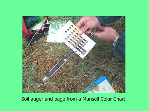 Ppt An Overview Of Wetland Delineation Powerpoint Presentation Free