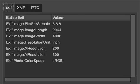 Python 3 X Pillow Return A NoneType When Extracting EXIF Metadata