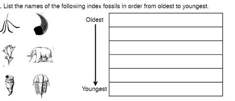 Index Fossils