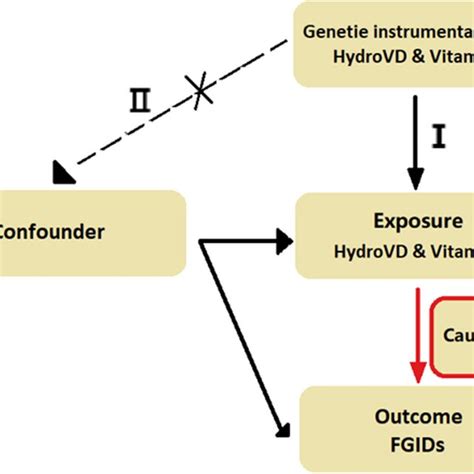 The Flow Diagram Of The Mendelian Randomization Mr Study I The