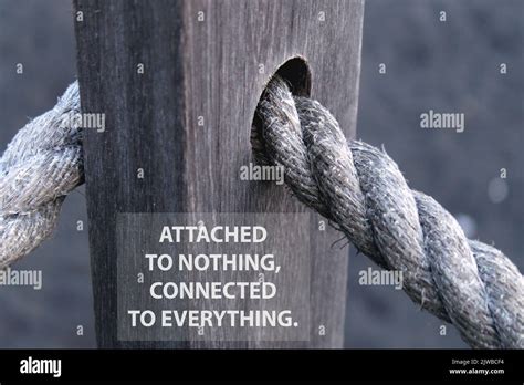 citation motivationnelle inspirante jointe à rien connectée à tout