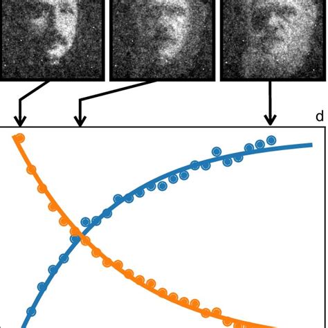 Reconfigurable Density Patterns Starting From The Stationary Density Download Scientific