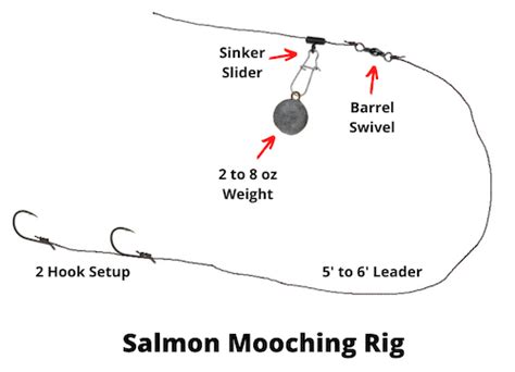 9 Top Salmon Rigs You Need To Know Detailed Rigging Guide