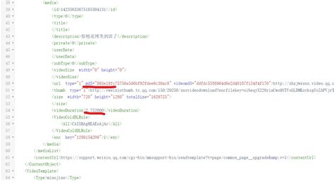 【硬核】开发朋友圈导出，我用了哪些技术？ 哔哩哔哩