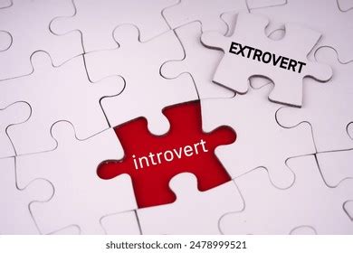 Стоковая фотография Human Behaviour Character Concept Introvert Extrovert Shutterstock