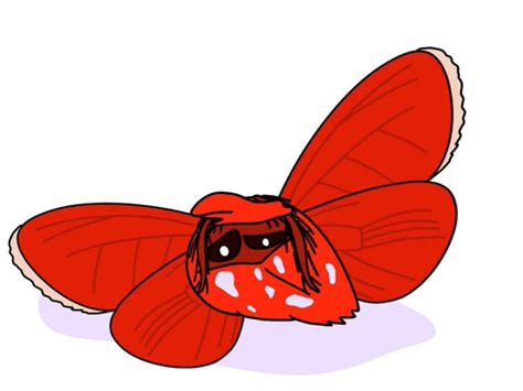 Discuss Everything About Flutter Starlight Wikia Fandom