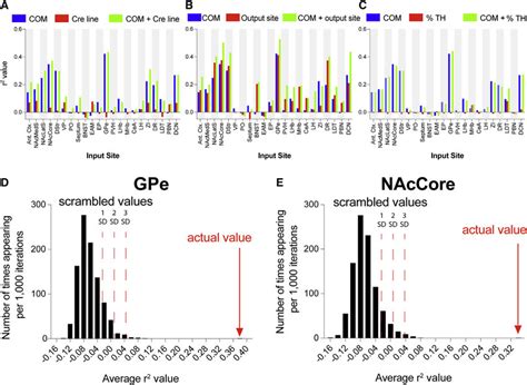 Statistical Analysis Of Input Biases To Vta Neurons A Linear Download Scientific Diagram
