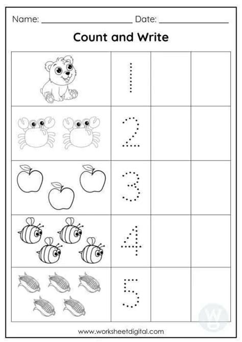 Count And Write Worksheet Digital 1 Teacher Made Resources