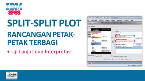 Split Plot Analysis In Spss Design Talk