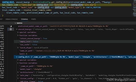 第五节：glm 4v 9b模型model加载源码解读模型相关参数方法解读