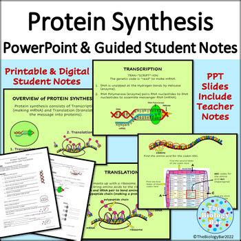 Protein Synthesis PPT Student Notes Digital Too By The Biology Bar