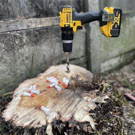 Rooting Out The Problem The Best Tree Stump Killers Tried And Tested