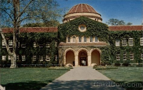 Chico State College Chico State Chico State University Magical